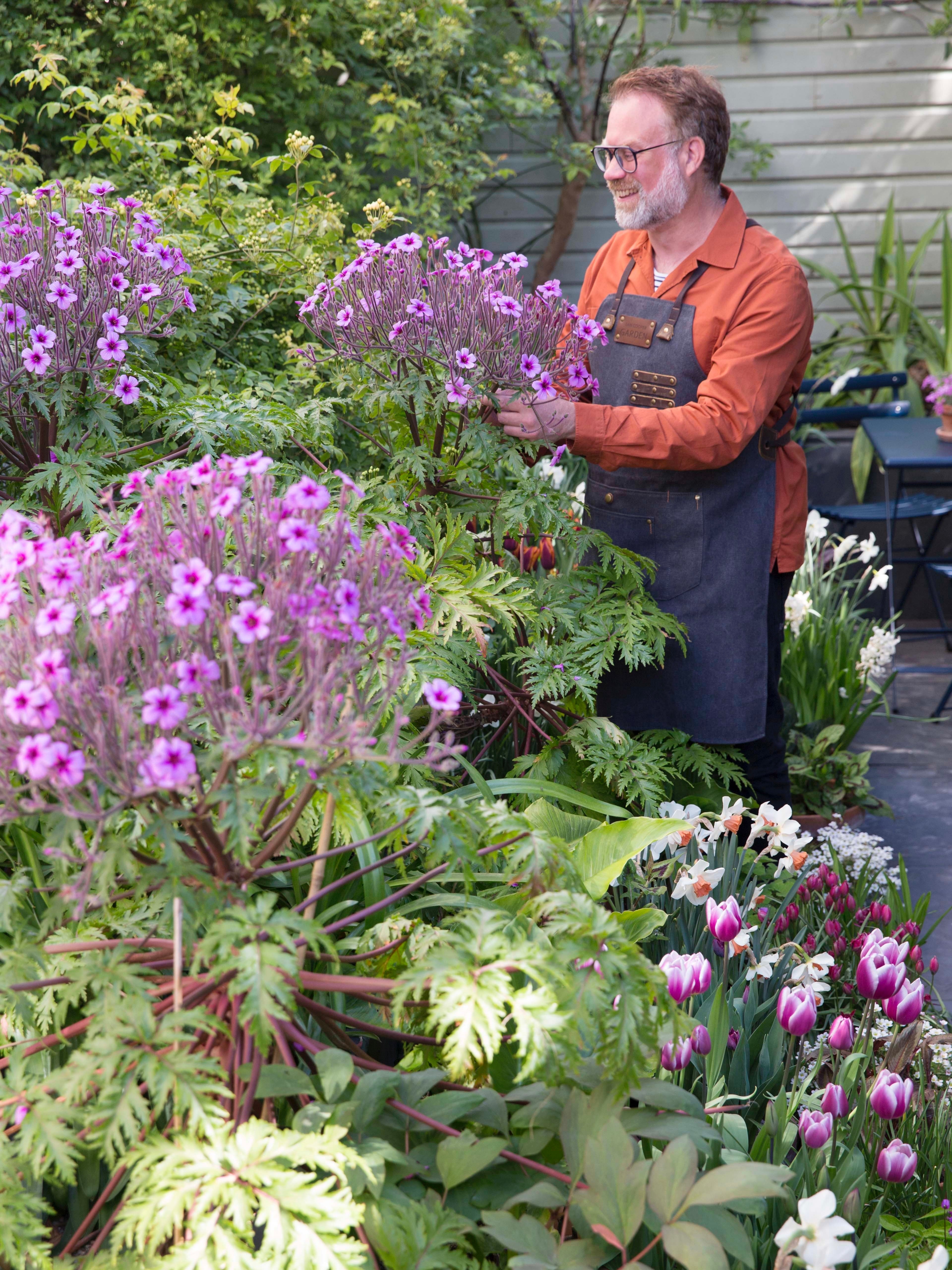 Garden Consultations – Dan Cooper Garden