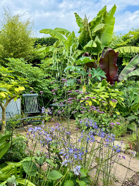 Dan Cooper Garden