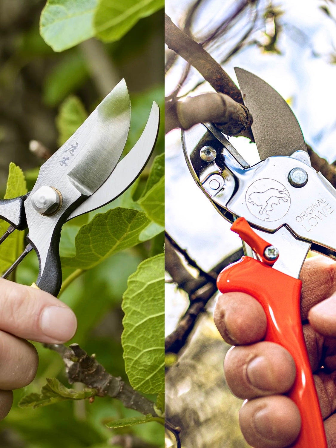 Anvil or Bypass - Which Type of Secateurs is Best for You? – Dan Cooper ...