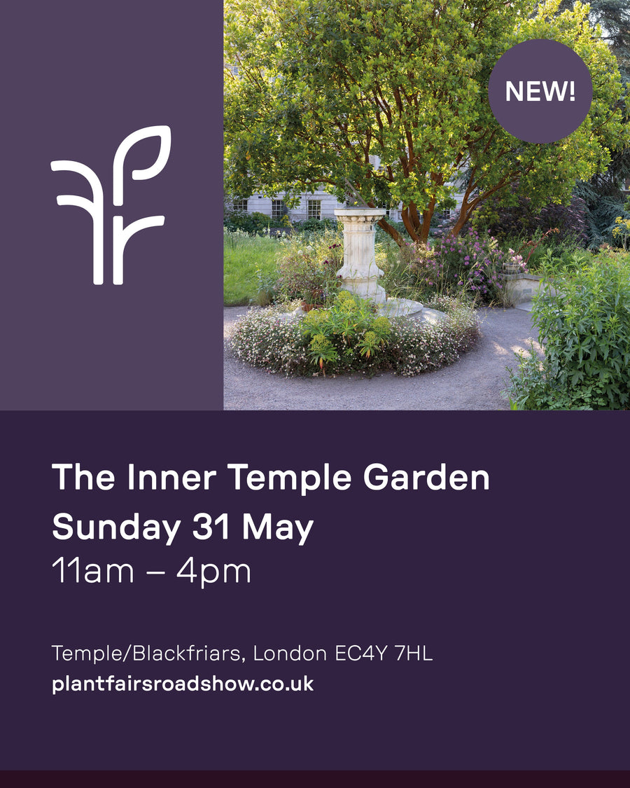 Plant Fairs Roadshow at The Inner Temple - NEW! – Dan Cooper Garden