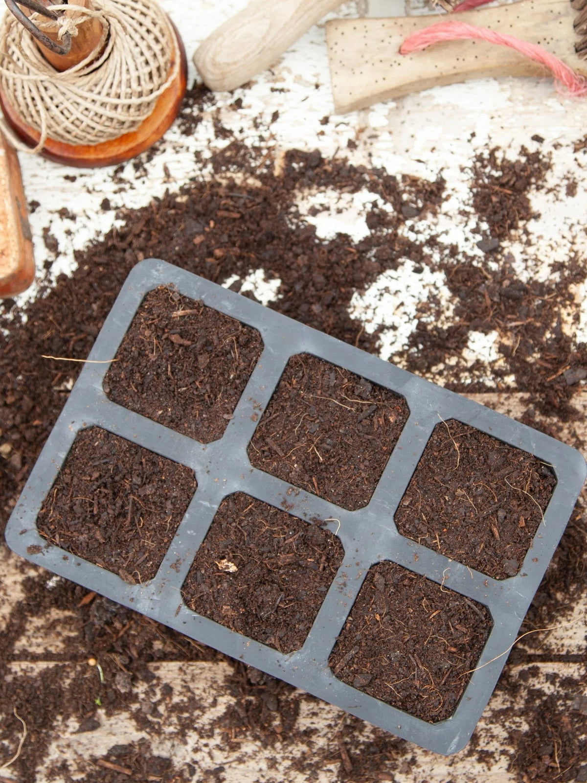 Natural Rubber Seed Tray, 6 Large Cells – Dan Cooper Garden