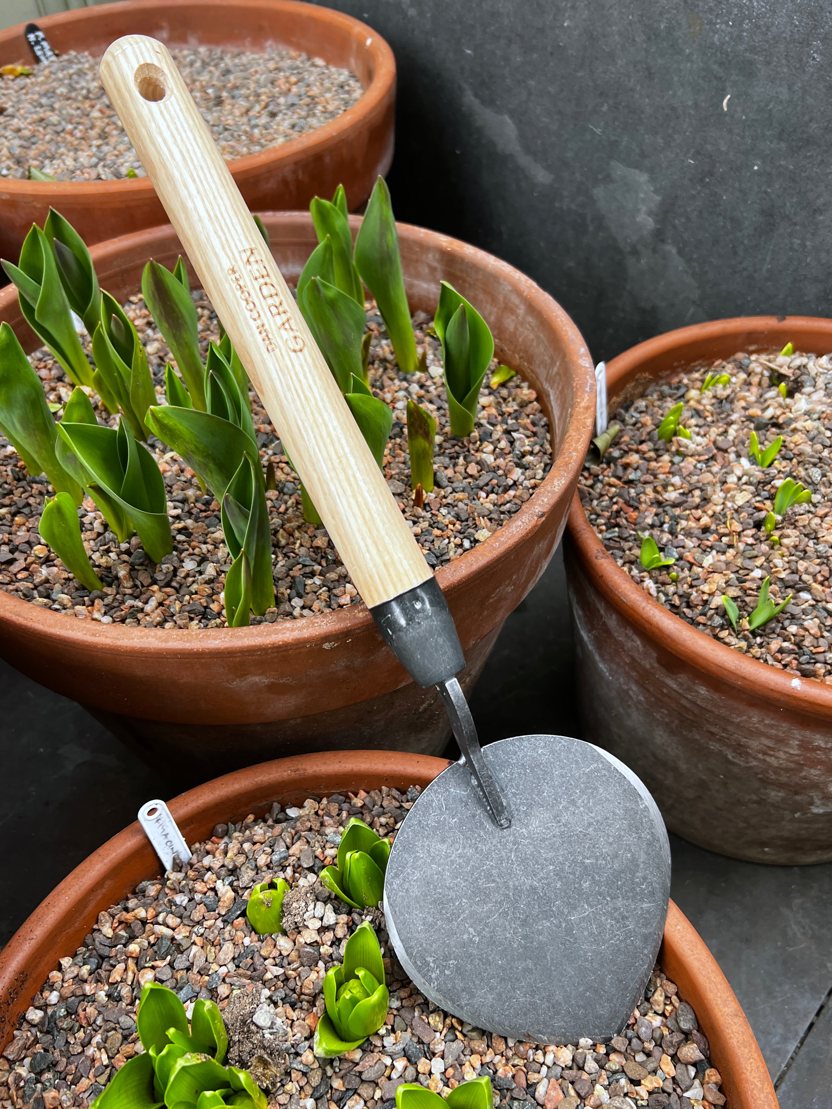Signature Dutch Style Planting Trowel – Dan Cooper Garden